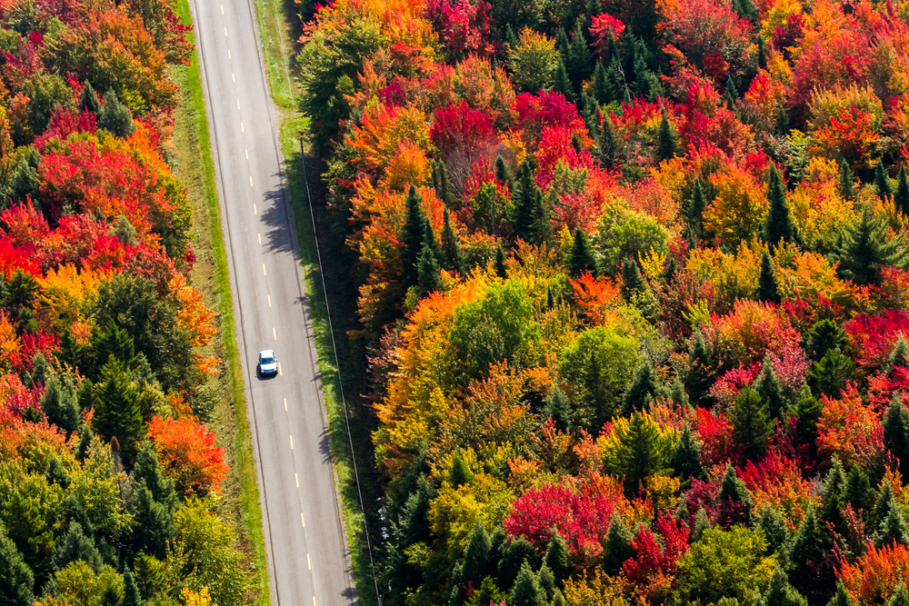 Best Places to See Fall Foliage: Embrace the Beauty of Autumn