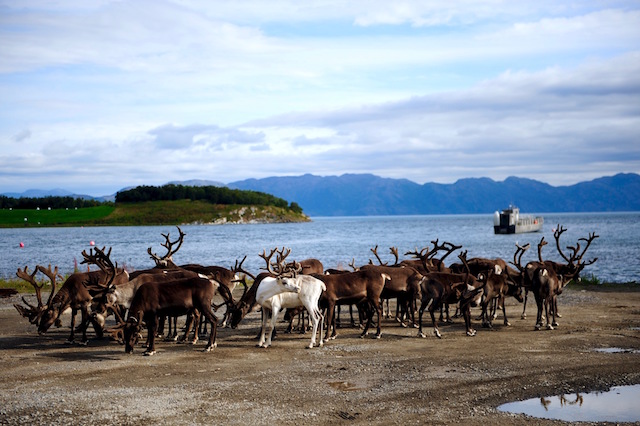 Northern Lights Tour of Norway: 7-Day Road Trip | Auto Europe